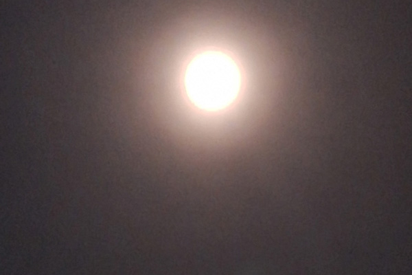 2024 PT5 became earth's second moon