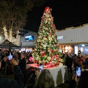 Sunnyvale Tree Lighting Celebration signals the beginning of the ...